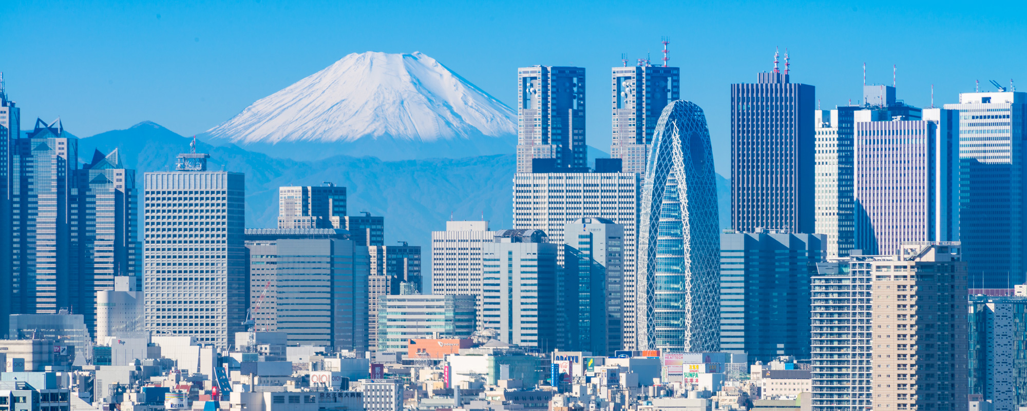 International Moving Company Tokyo | Japan Luggage Express