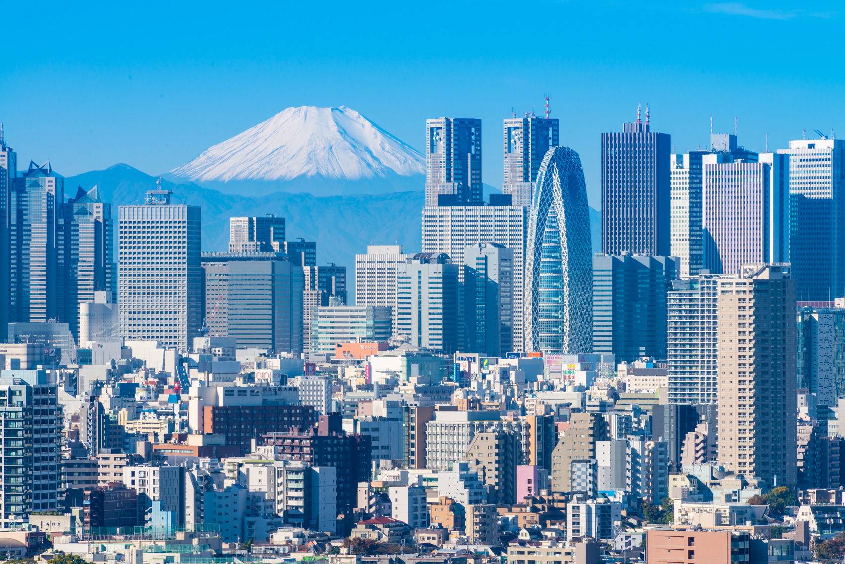 International Moving Company Tokyo | Japan Luggage Express